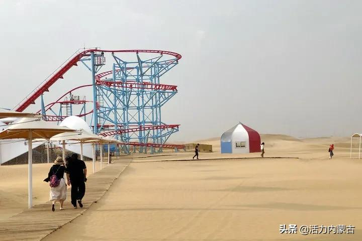 Kubuqi Desert Green Gold - iMedia