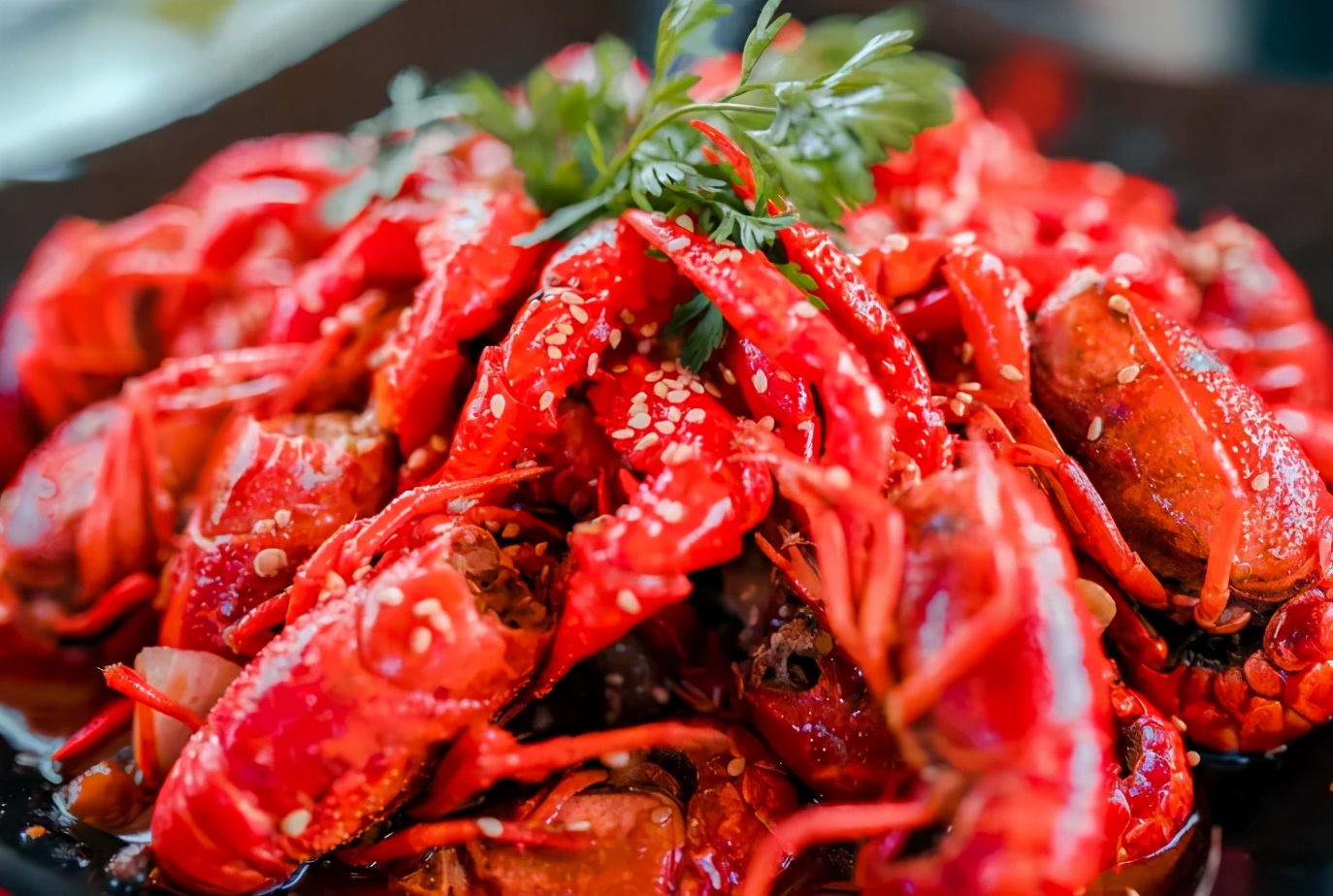 What is the best seafood to eat in summer?Groups of "fresh" gather ...