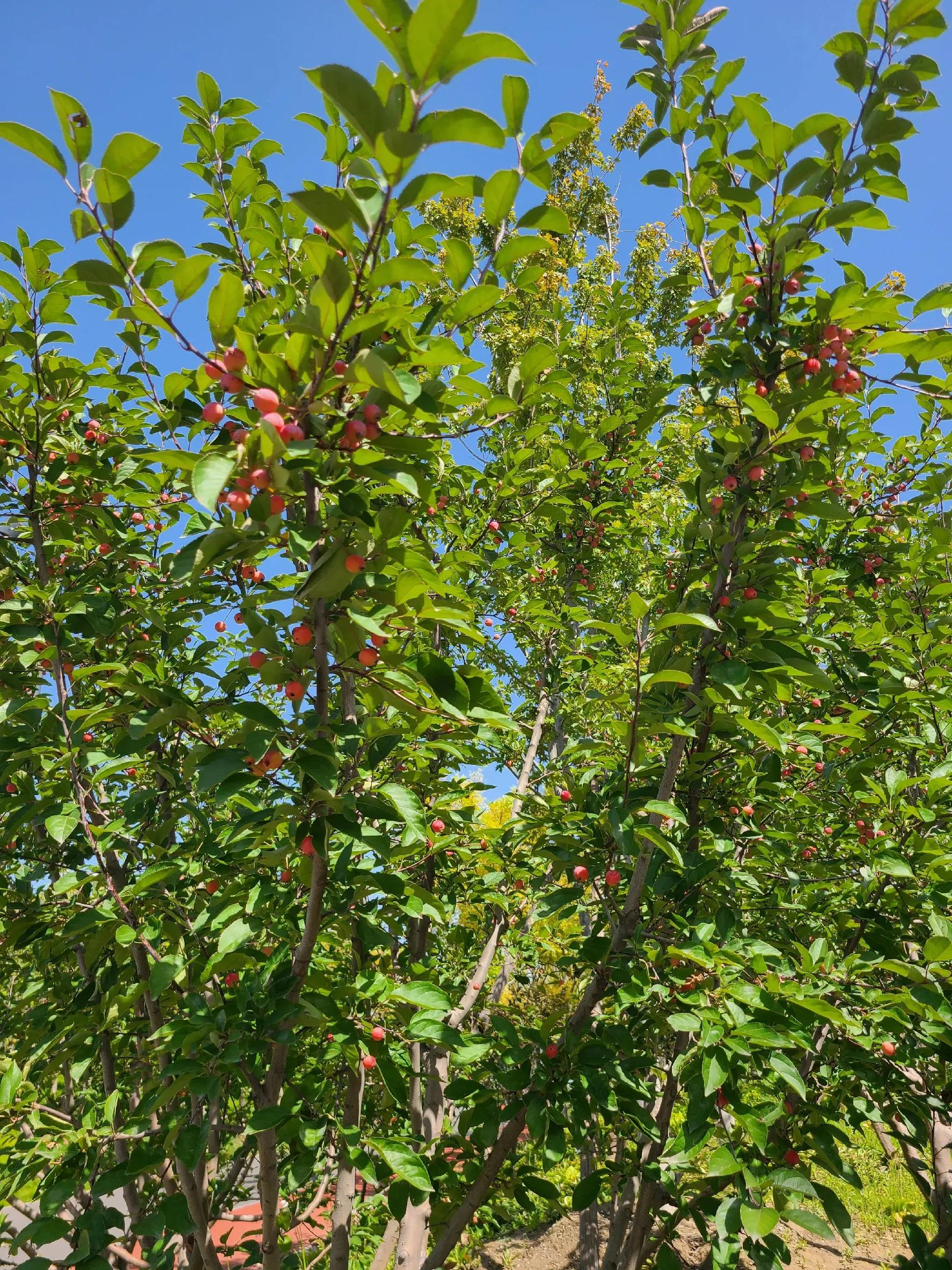 Tour Beijing Wenyu River Park - iNEWS