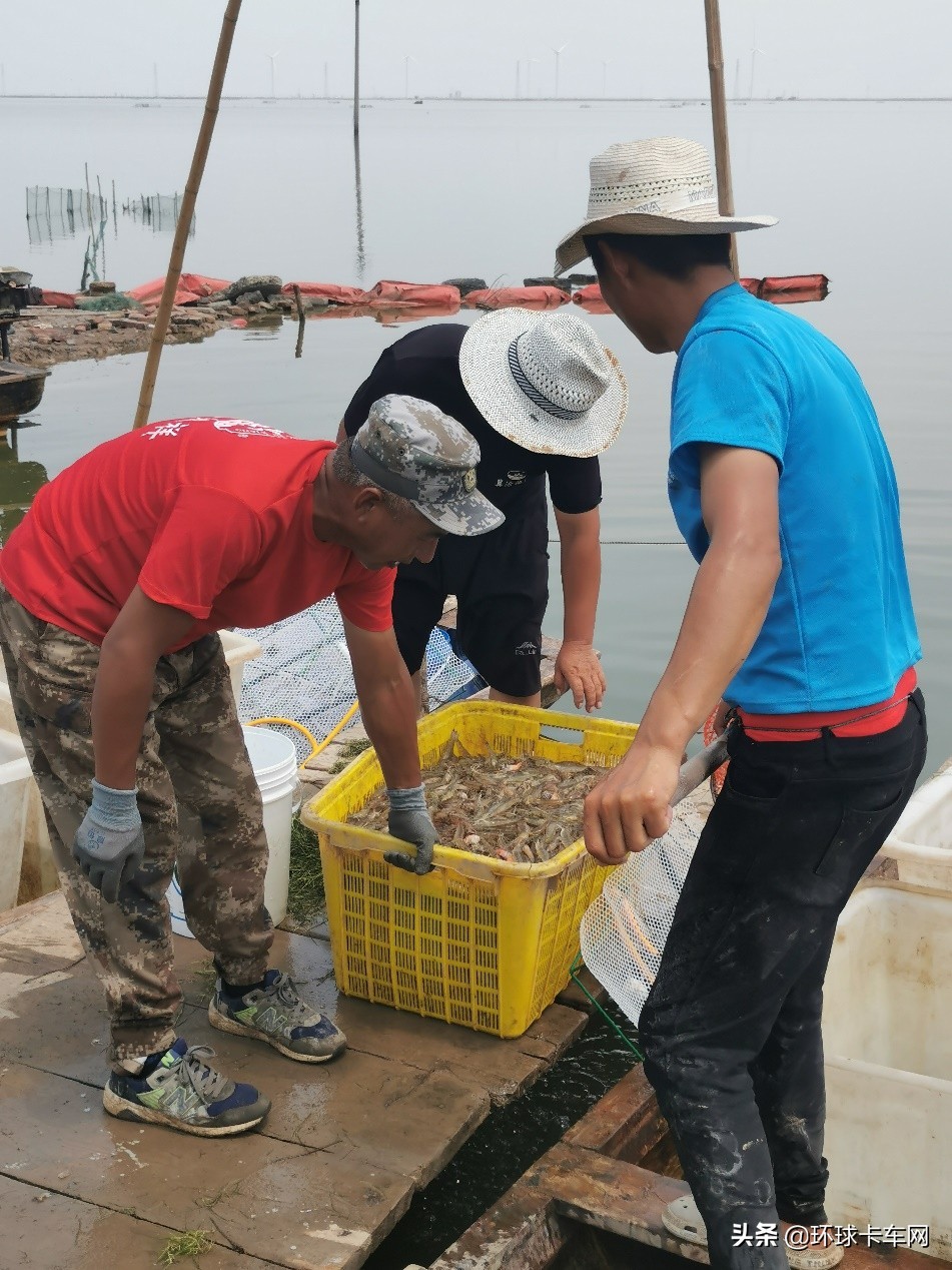 "Seafood Expert" Xu Yanhui: I have to fight harder while I'm young ...