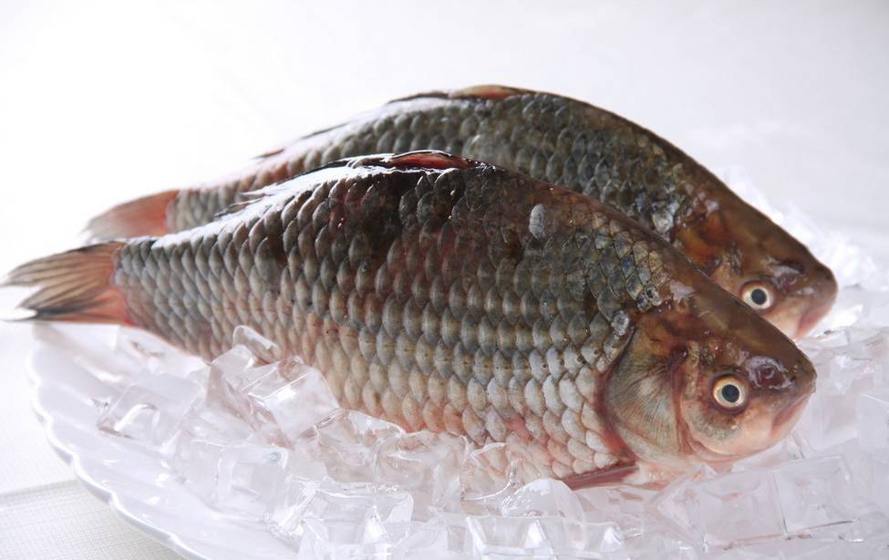 How to make crucian carp delicious?Share 3 different methods, delicious ...