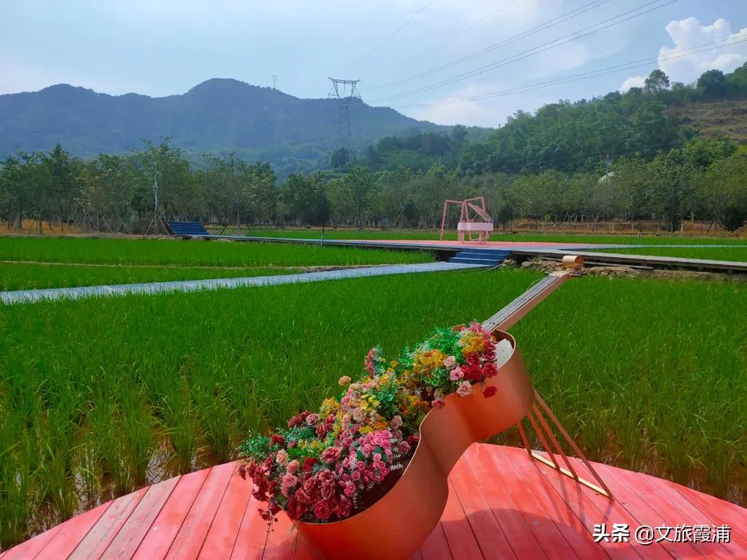 Summer in Yutan Sakura Valley is rice fields, breeze and you - iNEWS