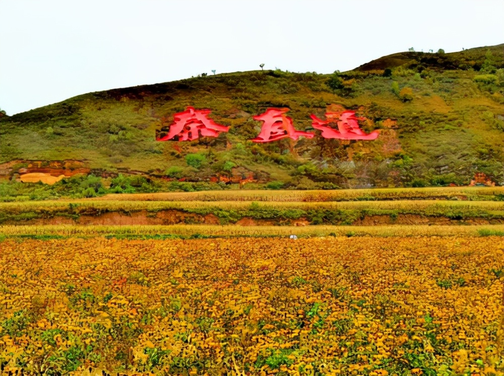 Shaanxi Tourism: Ganquan Yucha Grand Canyon and its surroundings (photo ...