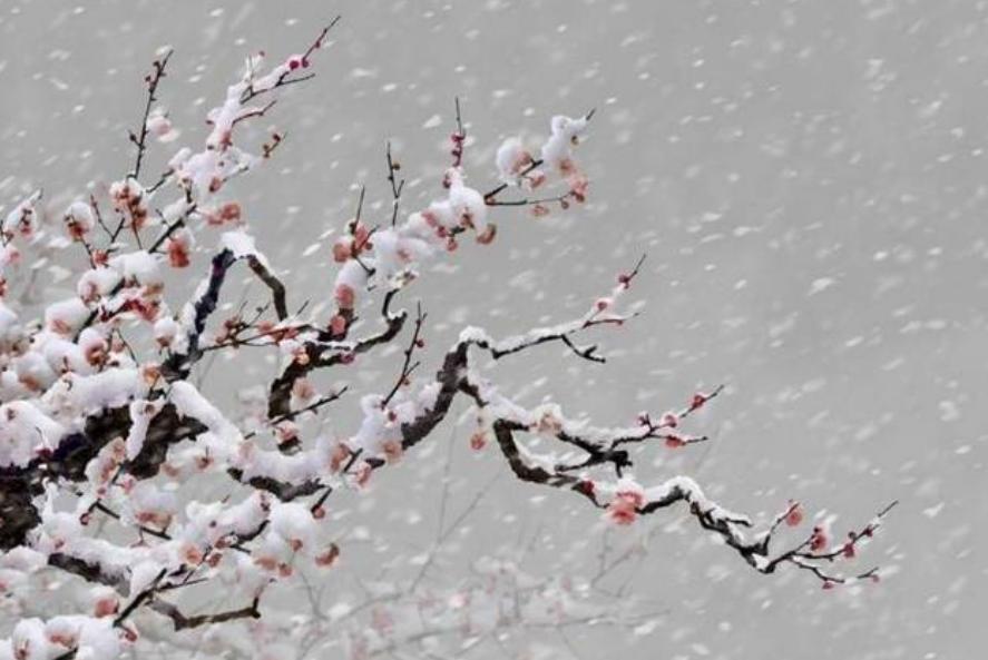 Two philosophical Zen poems, walking in the snow to find plums and ...