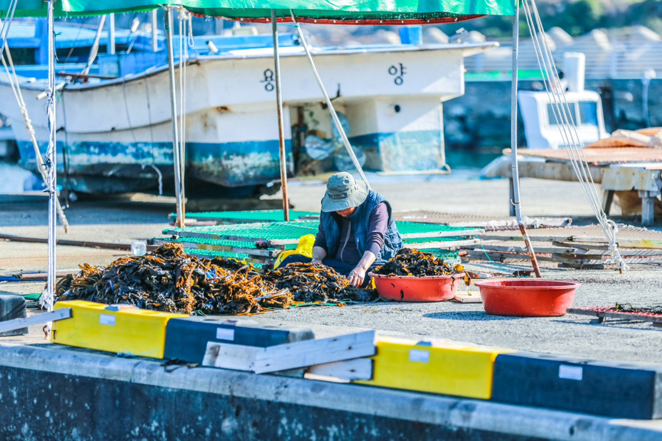Gijang, a cute little fishing village, don't miss it when you visit ...