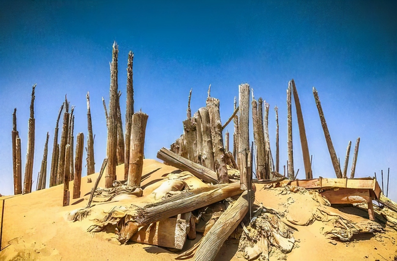 The beauty of the ancient corpse Xiaohe Princess of Lop Nur, after 3800 ...