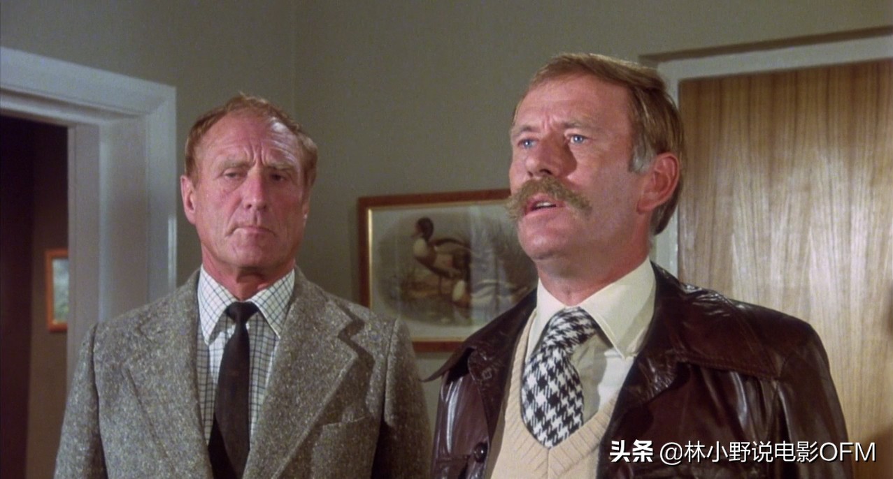 "Wild Goose" Cockade is messy, why is it regarded as a classic of ...