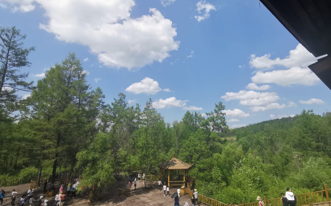 Walk into Mordaga National Forest Park - iMedia