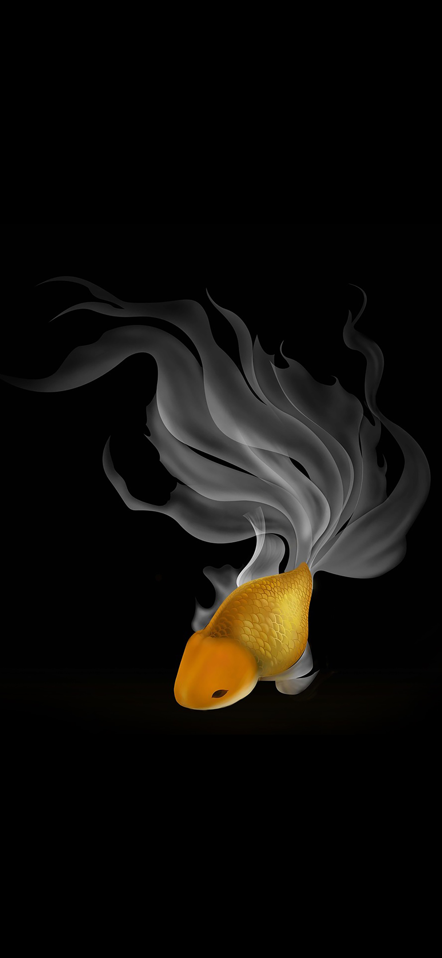 Black, is the purest color, it symbolizes the coming of dawn, black is ...