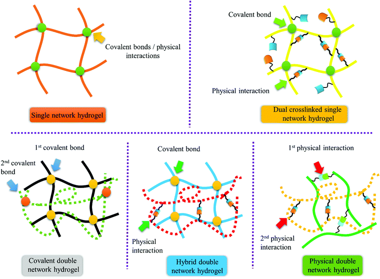 Review of "Materials Horizons": Biologically Inspired Double Network ...