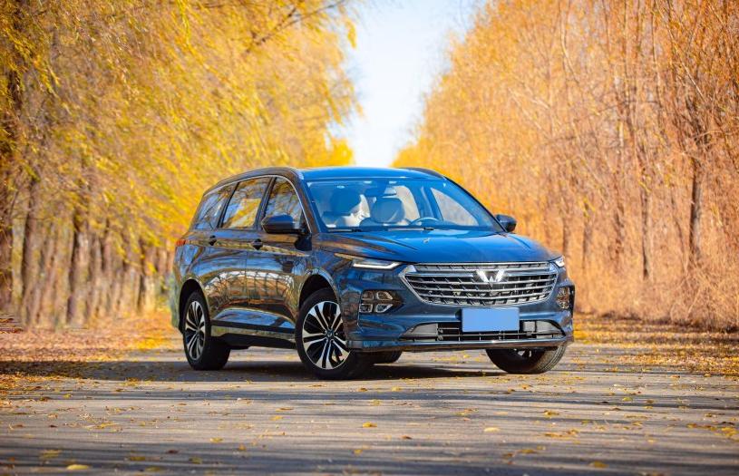 I chose Capgemini. After driving for 3 months, let's see what the owner ...