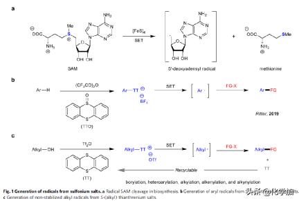 The formation of CB and CC bonds through the formation of unstable ...