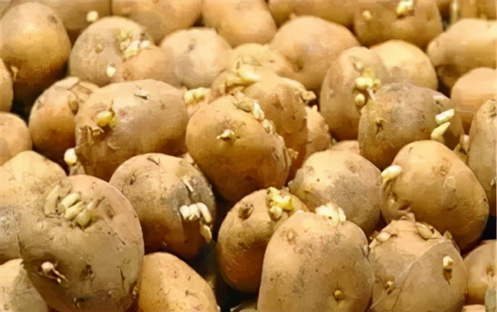 It's moldy again!It's a pity to throw away the potatoes you just bought ...