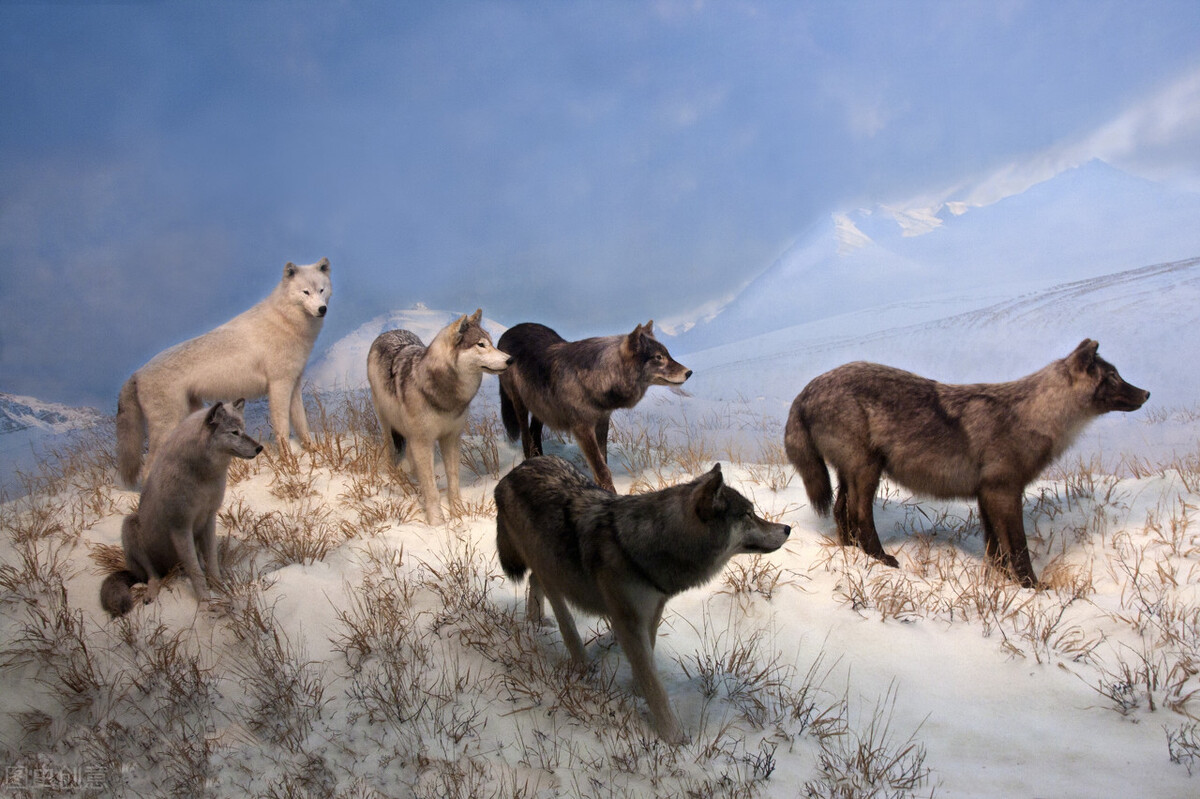 For 100,000 yuan, my friend experienced the pleasure of chasing and ...