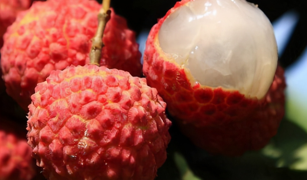 Lychee shell is a "treasure", used to boil water to drink, it turns out ...