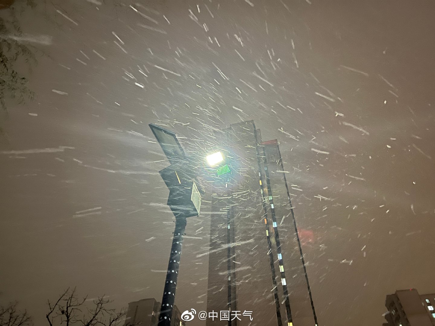 11.6 Picture: Di Lieba, Deng Lun, Liu Yifei, Yang Zi, Zhou Shen, Tong ...