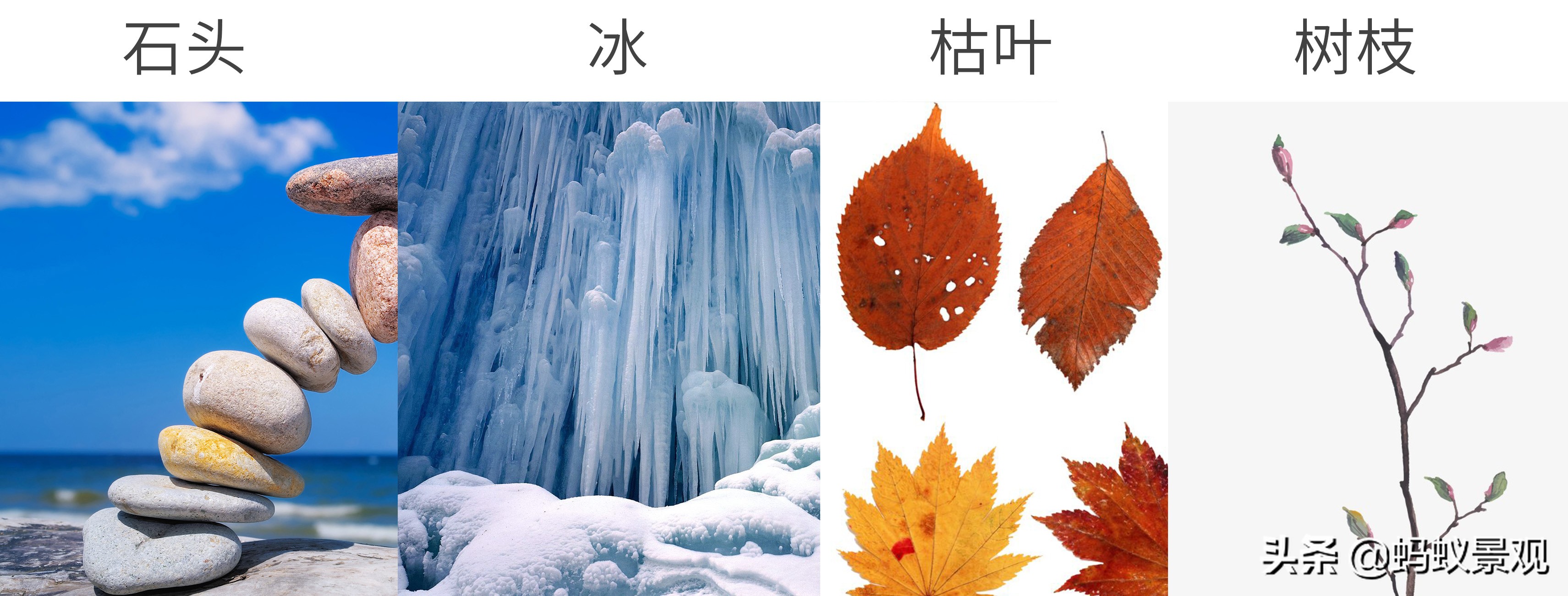 Coexisting with Nature——Martin-hill Land Art Works - iNEWS