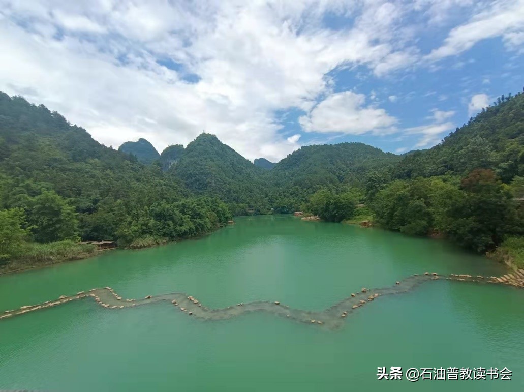 Prose Poem: The Love of Beautiful Blue Butterflies (Ma Hongxia) - iNEWS