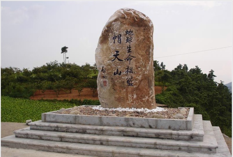 Chen Junyuan: Dialogue with ancient creatures in the fossil world - iNEWS