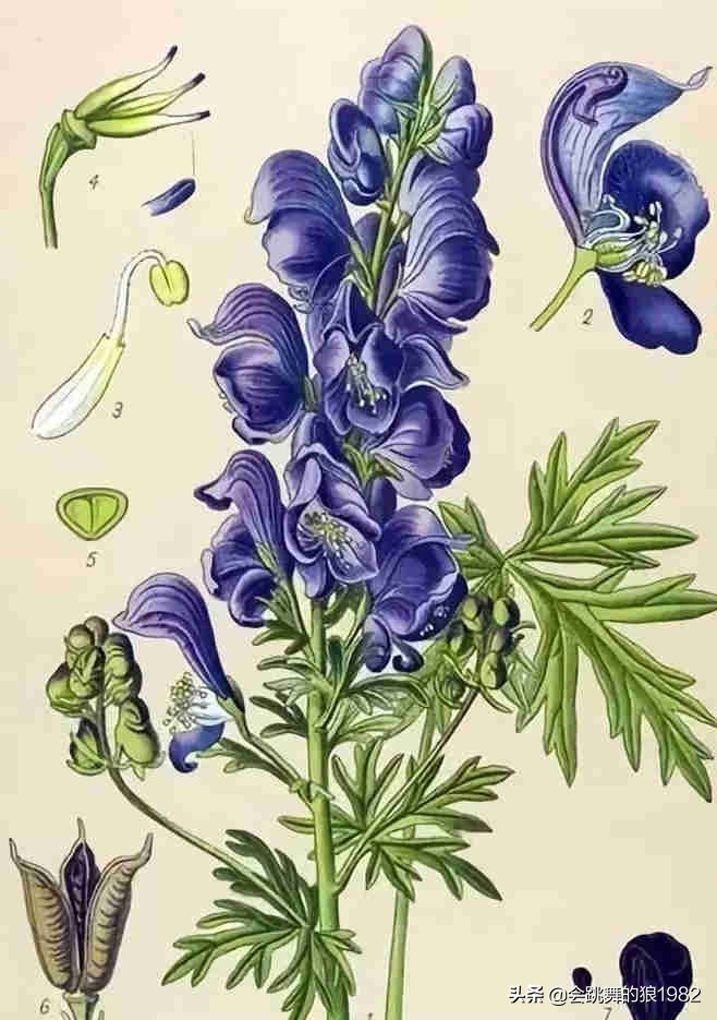 Where did the ancient poison come from - iNEWS