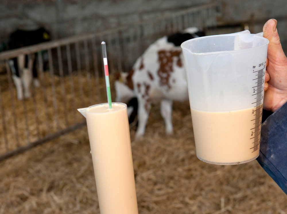Will the dilapidated bovine colostrum with a new look regain its ...