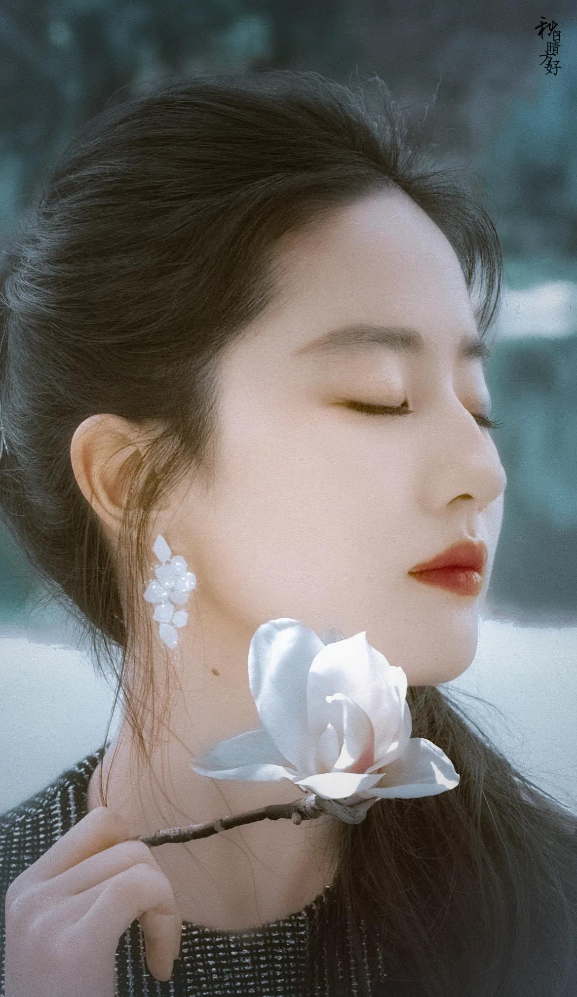Liu Yifei, exquisite features, extraordinary temperament, beautiful ...
