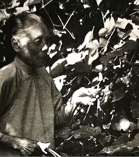 In 1990, Li Zongren passed his wife's 100th birthday, and his son Li ...