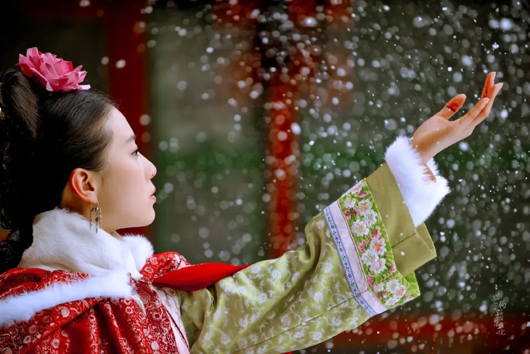 One question and one answer: Wu Lei, Liu Shishi, Yang Chaoyue, Guo ...