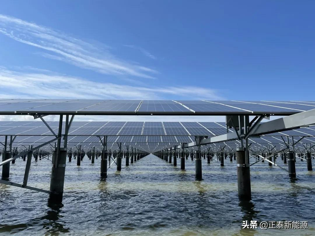 Chint New Energy Wenzhou Taihan 550MW fishery and light complementary ...