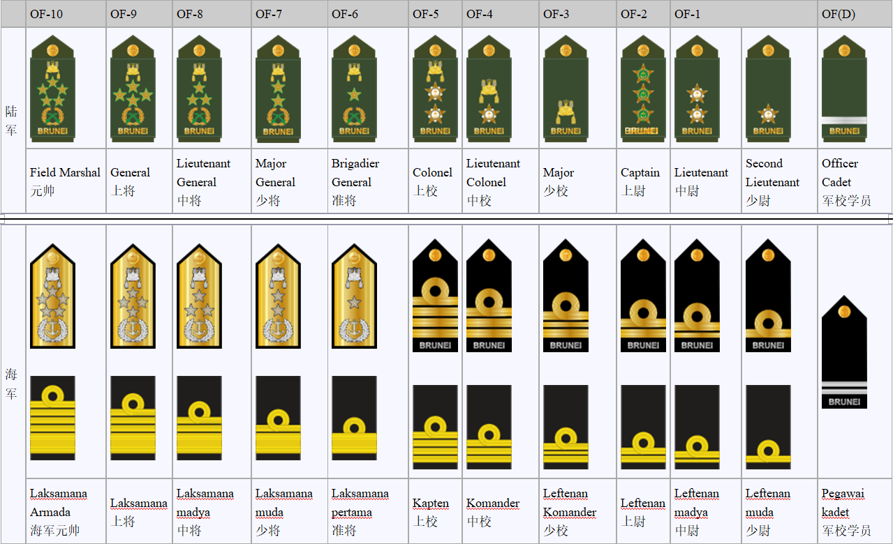 The small Southeast Asian country has a total strength of 6,000. The ...