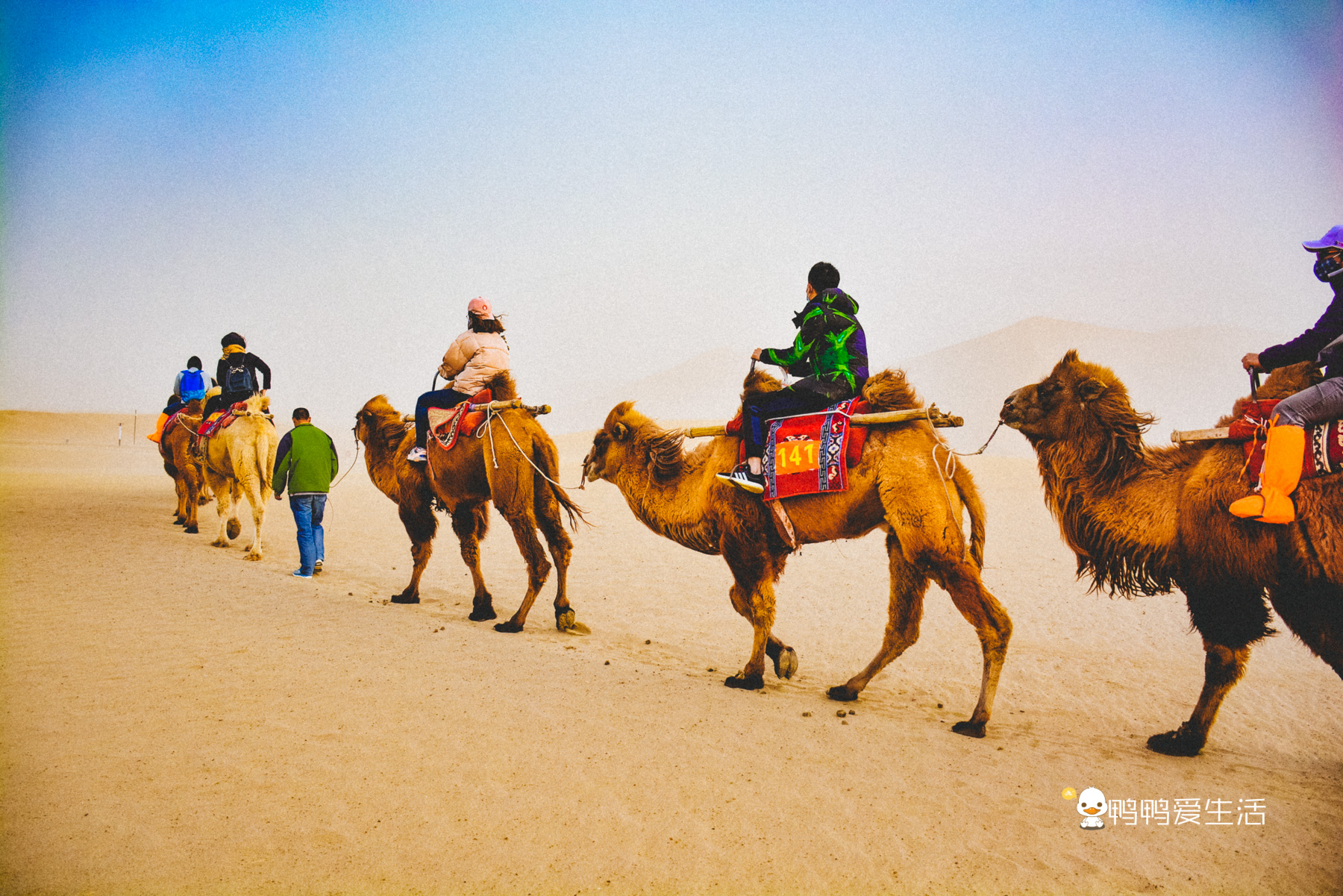 Blocking camels?The scenic spot of Dunhuang on May 1st exploded, and ...
