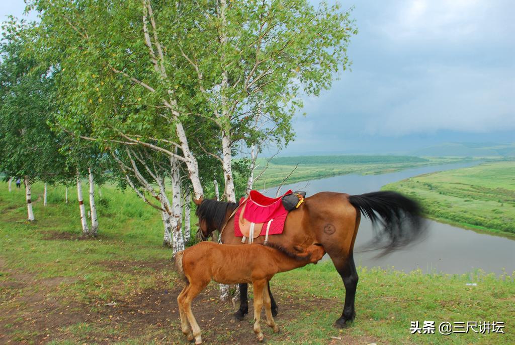 It's time to go to Hulunbuir (4)-the Ergun River on the Sino-Russian ...