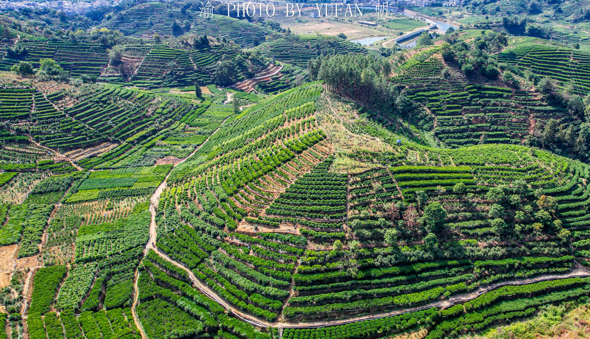 The low-key No. 1 mountain in eastern Guangdong, the mountains are full ...