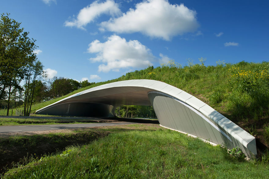 50 bridges of life designed for animals in the world, saving tens of ...