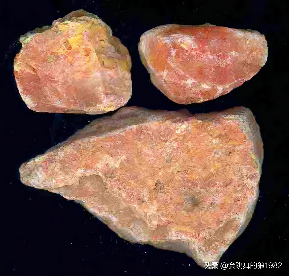 Where did the ancient poison come from - iNEWS