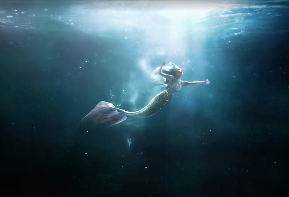 In 1980, South China Sea fishermen caught "mermaid"?Many mermaid ...