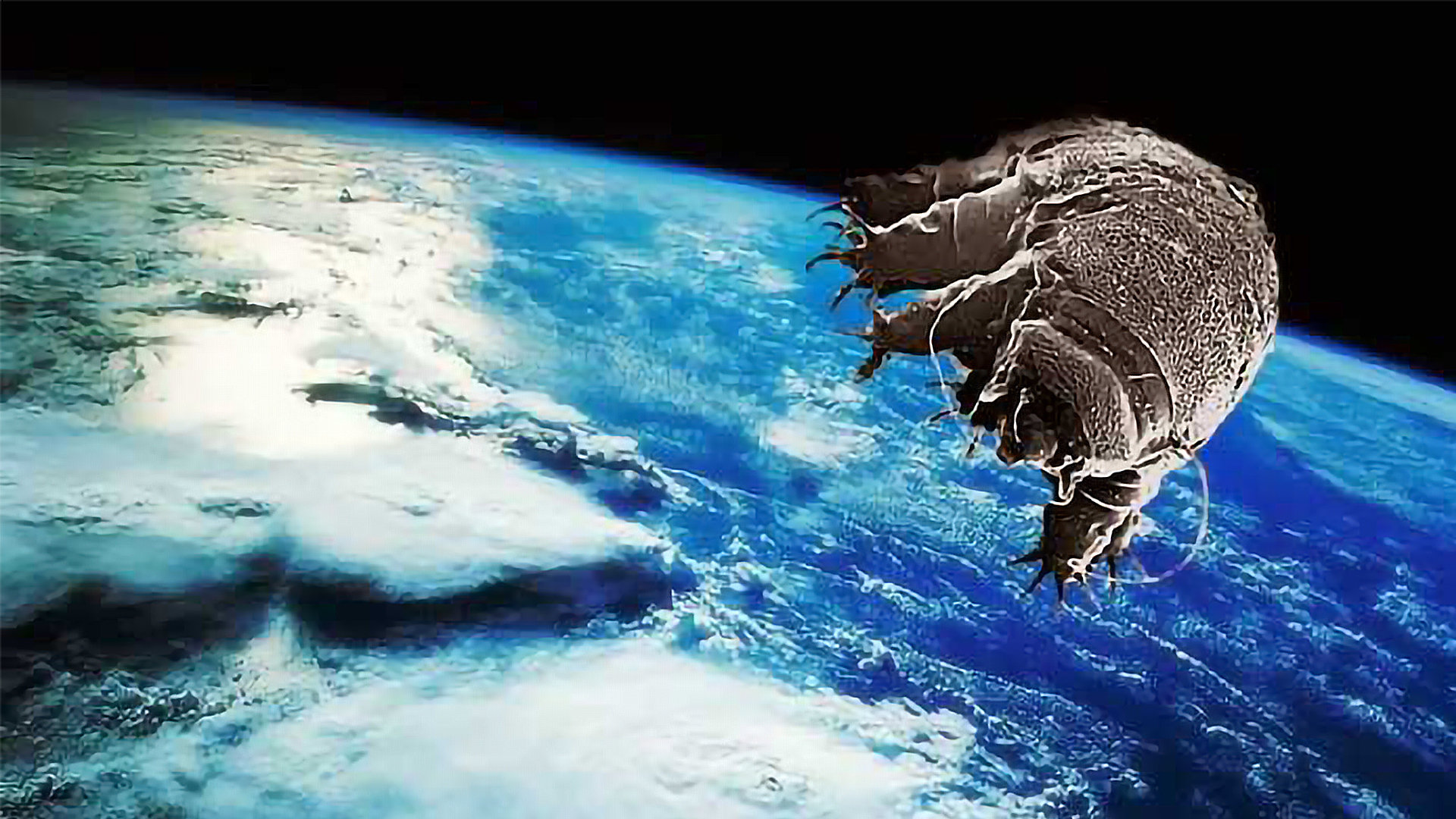 The most tenacious creature on earth: it can survive even in outer ...