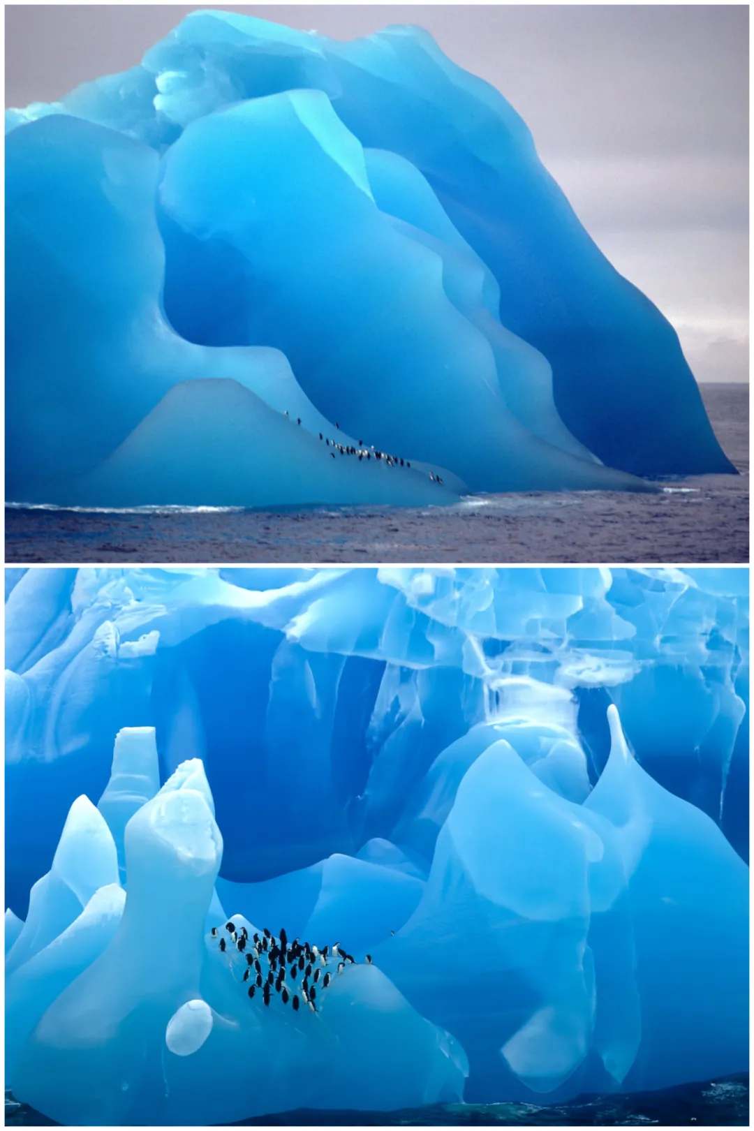 15 Creepy Photos, Every One Makes You Creep - iNEWS