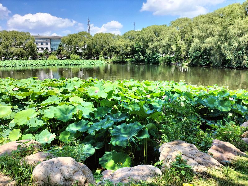 Interpretation of Han Yuefu "Jiangnan" - iNEWS