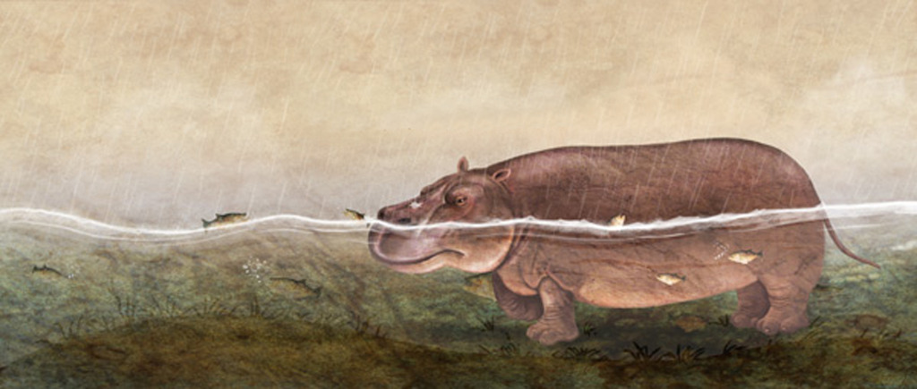 How scary is hippo poop? Every year, tens of millions of fish are ...