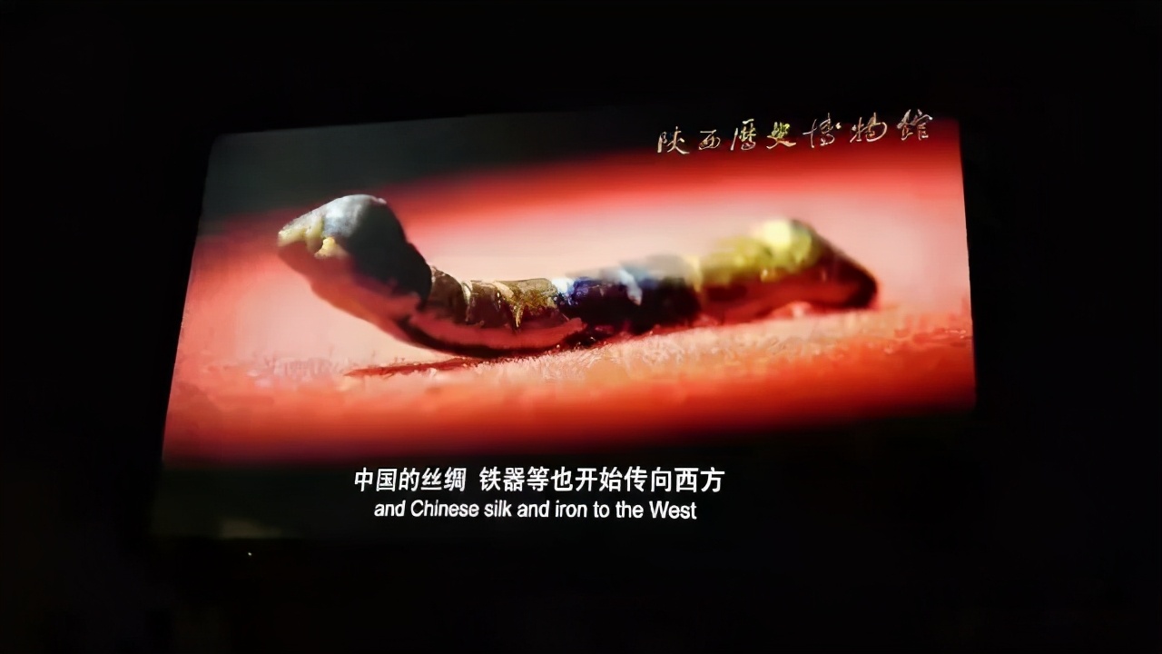No one cared about this precious golden silkworm back then - iNEWS