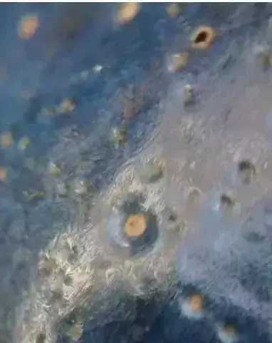 Teach you how to look at bubbles to identify ancient porcelain ...