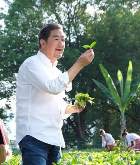 These celebrities who love to drink white tea have gained several ...