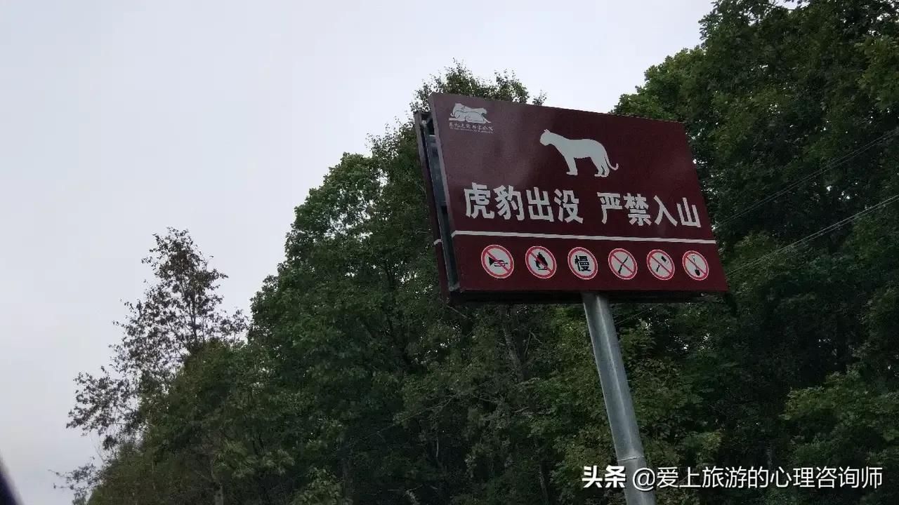 Dongning Fortress or Tiger Head Fortress, which is stronger? - iNEWS