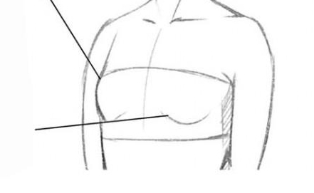 How to draw a manga girl's breasts?You must know these - iMedia
