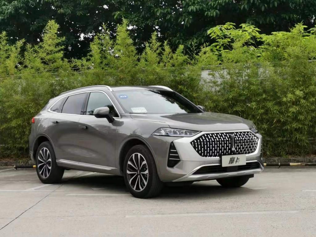 Test drive WEY Mocha: In addition to luxury, overtake BBA with "high EQ ...