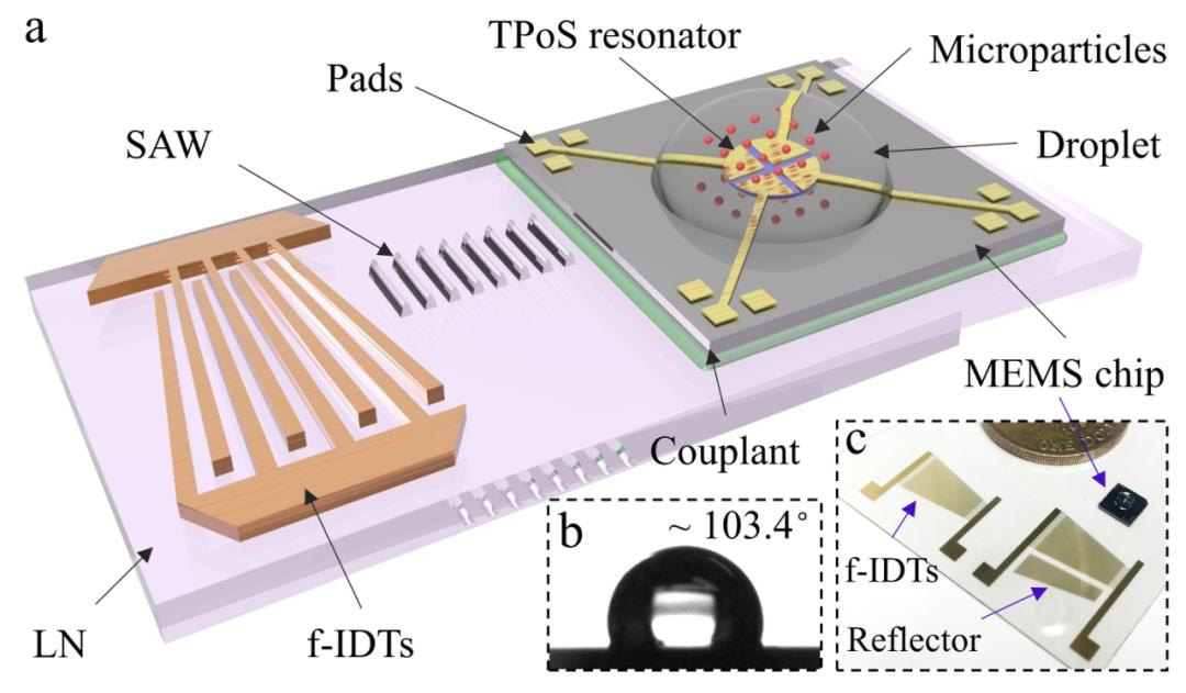City University of Hong Kong: Research and development of piezoelectric resonant sensors for ...
