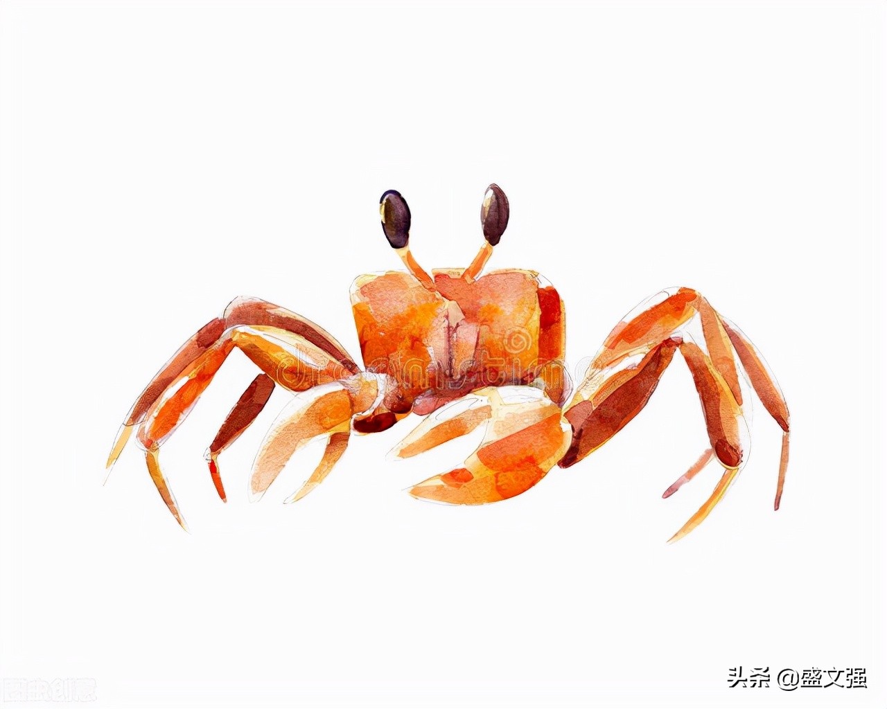 How amazing is the crab's body?The ancients gave names to various parts ...