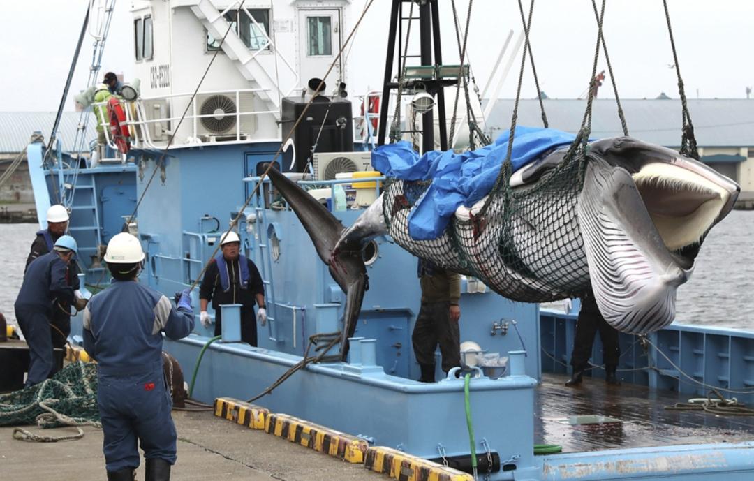 The overlord of the sea who has been forced to desperate existence has ...