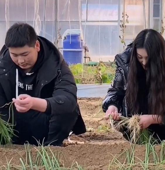 Brother Dayi responded to the marriage change of his daughter-in-law: she didn't get a ...